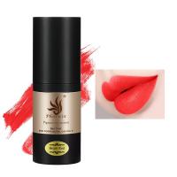 China Pure Cosmetic Permanent Makeup Emulsion Pigment Lip Blush Eyebrow Tattoo Ink for sale