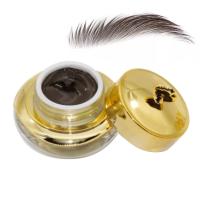 China Eyebrow Permanent Makeup Pigments GMT Cosmetic Perma Blend Tattoo Ink Academy for sale