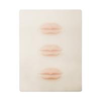 China 3D Lip Silicone Permanent Makeup Practice Skin Microblading Practice Pads for sale