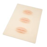 China 3D Lip Silicone Permanent Makeup Practice Skin Microblading Practice Pads for sale