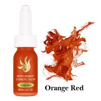 China Microblading Permanent Makeup Pigments Eyebrow Lip Liquid Microneedling Tattoo Ink for sale