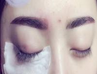 China 15ML PURE PLANT Faster Coloring Microblading Permanent Makeup Pigments For Eyebrow / Eyeliner for sale
