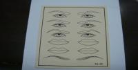 China Eyeliner Permanent Makeup Practice Skin Sheet Shape Pad 20.5cm X 15cm X 0.15cm for sale