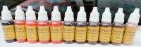 China Liquid Permanent Makeup Tattoo Ink Pigments , Organic Healthy Tattoo Ink for sale