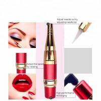 China Hand Held Taiwan Professional Permanent Makeup Machine Pen Two Colors For Choose for sale