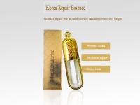 China Misting Gold Foil Semi Permanent Makeup Tattoo Kit  Ice Crystal Gel Lock Color for sale