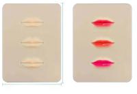 China PMU Permanent Makeup Rubber 3D Lips Practice Skin Tattoo Mat To Practice Perfect Eyebrow for sale