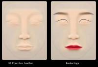 China Rubber Practice Materials Tattoo Eyebrow  carving Lips Silicone 3D Leather Blank Permanent Makeup For PMU Training for sale