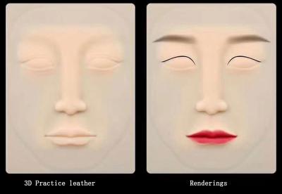 China Rubber Practice Materials Tattoo Eyebrow  carving Lips Silicone 3D Leather Blank Permanent Makeup For PMU Training for sale