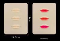 China Rubber Practice Materials Tattoo Eyebrow  carving Lips Silicone 3D Leather Blank Permanent Makeup For PMU Training for sale