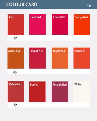 China Big Bottle 1000ML Tattoo Ink OEM / ODM Micro Semi Permanent Makeup Pigment of Eyeliner Lip Eyebrow for sale