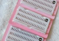 China Factory Price 60pcs/Set 8/10/12 mm Lashe Black Natural Fake False Eyelash Long Cluster Eyelash Extension Makeup for sale