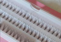 China Wholesale Handmade  False Synthetic Hair Eyelash Set Lash Eyeliner Magnetic Eyelashes 60 pcs 8-12 MM Curl OEM for sale