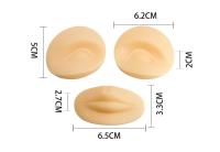 China High Quality Cheap Price 3D Silicone Uninstall Model Head With Eyes And Lip For Permanent Tattoo Makeup Training School for sale