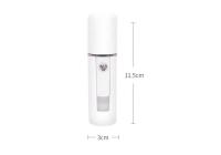 China Mini Wireless Nano Facial Spray Humidifier Steamer Protable USB Rechargeable Fan cooler for sale