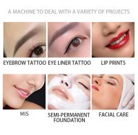 China 200mA 50Hz Silver Phoenix Permanent Makeup Tattoo Kit For Eyebrow, Eyeliner, Lip Tattoo for sale