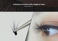 China Real Silk Individual Mink Soft  8mm 12mm Natural Fake Eyelashes for sale