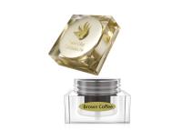 China Phoenix 100% Pure Plant Naturl Material ODM GMT Microblading Tattoo Permanent Makeup Pigments for sale