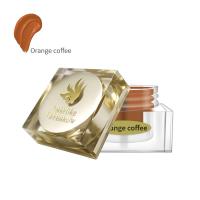 China ODM Permanent Makeup Pigments 10g Phoenix Paste Eyebrow Microblading Tattoo Ink for sale
