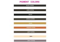China 100% Pure Plant Axtract Private Label Temporary 5g Makeup Tattoo Ink Pigment for sale