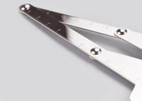 China Stainless Steel Tattoo Eyebrows Ruler Golden Ratio Measure Microblading Stainless Ruler for sale