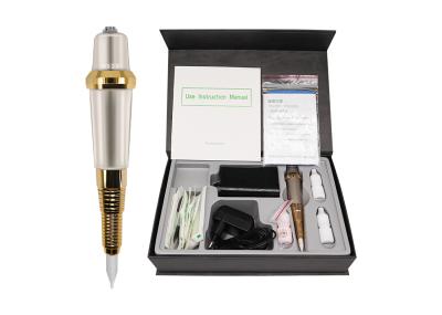 China 1.35W Silver Permanent Makeup Tattoo Kit Giant Sun G-9420 For Eyebrow/ Eyeliner/ Lip/ for sale