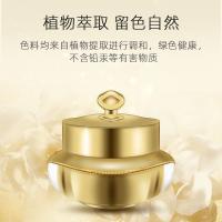 China Eyebrow Tattoo 10g  Permanent Makeup Pigments For PMU Manual Pen for sale