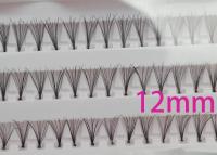 China Custom Lash Lift Treatment Kit , Synthetic Fake Eyelashes Beauty Makeup Tools for sale