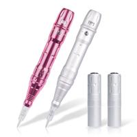 China Wireless Stainless Steel Electric Eyebrow Tattoo Machine Kit Permanent Makeup Tattoo Gun for sale
