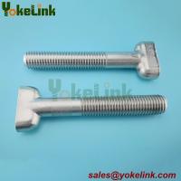 China Hot forging 304 Stainless Steel T  head bolt and nut for Mechanical Joint fitting for sale