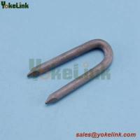 China Hot Dip Galvanized Rolled Point 1/2'' Staple U-nail/ U type nail for sale