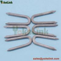 China Hot Dip Galvanized Rolled Point 1/2'' Staple U-nail/ U type nail for sale