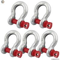 China D-type American Shackle Zinc Plated Galvanized Anchor Shackle Bolts for sale