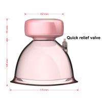 China Physical Therapy Breast Massage Vacuum Therapy Machine Charging Time Approx. 4 hours for sale