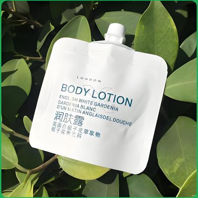China Leak Proof Spout Pouch Packaging Food Grade High Clarity PET Spout Bags for sale