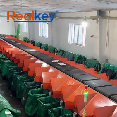 China Cross Border E-Commerce Logistics Sorter System High Precision Item Classification for sale