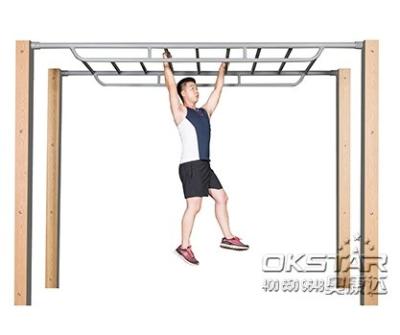 China outdoor gym equipment outdoor gymnastic bar for sale
