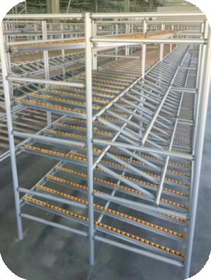 China Innovative Automated Manufacturing Line Equipped with Automated Sorting and Packaging Systems to Streamline End to End Production for sale