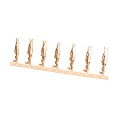 China Brass Metal Parts Lighting Switch And Socket Chandelier Part for sale