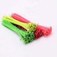 China Durable Self Locking Nylon Cable Plastic Ties - OEM - Available in White Or Black for sale