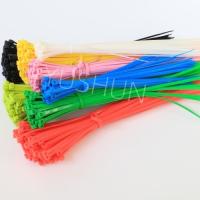 China Durable Self Locking Nylon Cable Plastic Ties - OEM - Available in White Or Black for sale