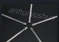 China 700mm Heavy Duty SS316 Stainless Cable Tie Buckle Type for sale