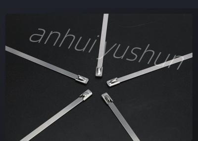China Fire Resistance Stainless Steel Cable Tie 4.5x800mm 304 Grade for Outdoor Binding for sale