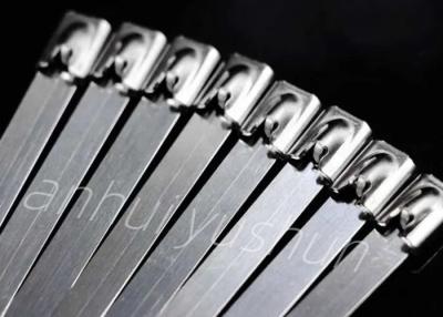 China 600mm SS201 Stainless Cable Tie For Metal Wire Binding for sale