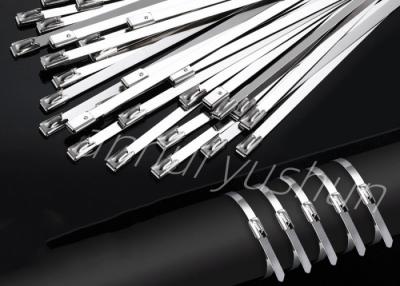 China 700mm Heavy Duty SS316 Stainless Cable Tie Buckle Type for sale