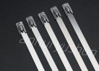 China Fire Resistance Stainless Steel Cable Tie 4.5x800mm 304 Grade for Outdoor Binding for sale