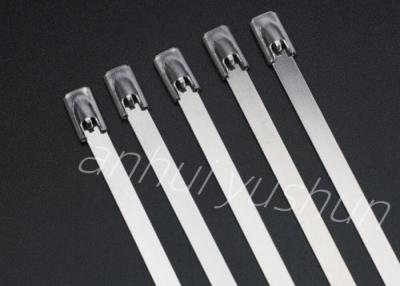 China SS316 Stainless Steel Cable Tie 100mm Buckle Type Reusable Self-Locking 4.5mm Width for sale