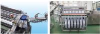 China Sterile Syringe Packaging Equipment Automatic Heat Sealing Packaging Machine for sale