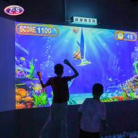 China One-Piece Design Throw Ball Projection Game Pirate Ship Adventure for Urban Parks 1080P HD for sale