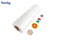 China Transparent EAA PO Hot Melt Glue Film With Release Paper For Embroidery Patch for sale